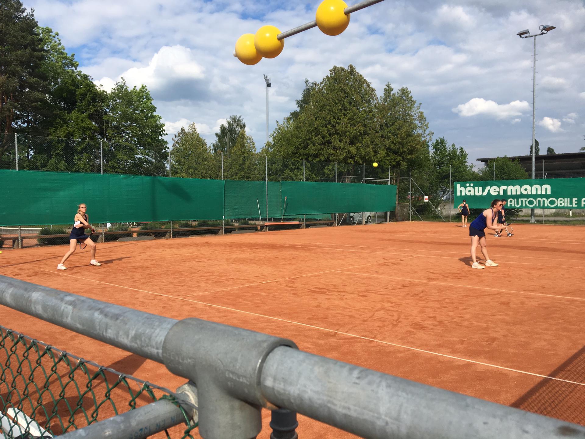 Damen des TC Höngg im Aufschwung - Höngger.ch