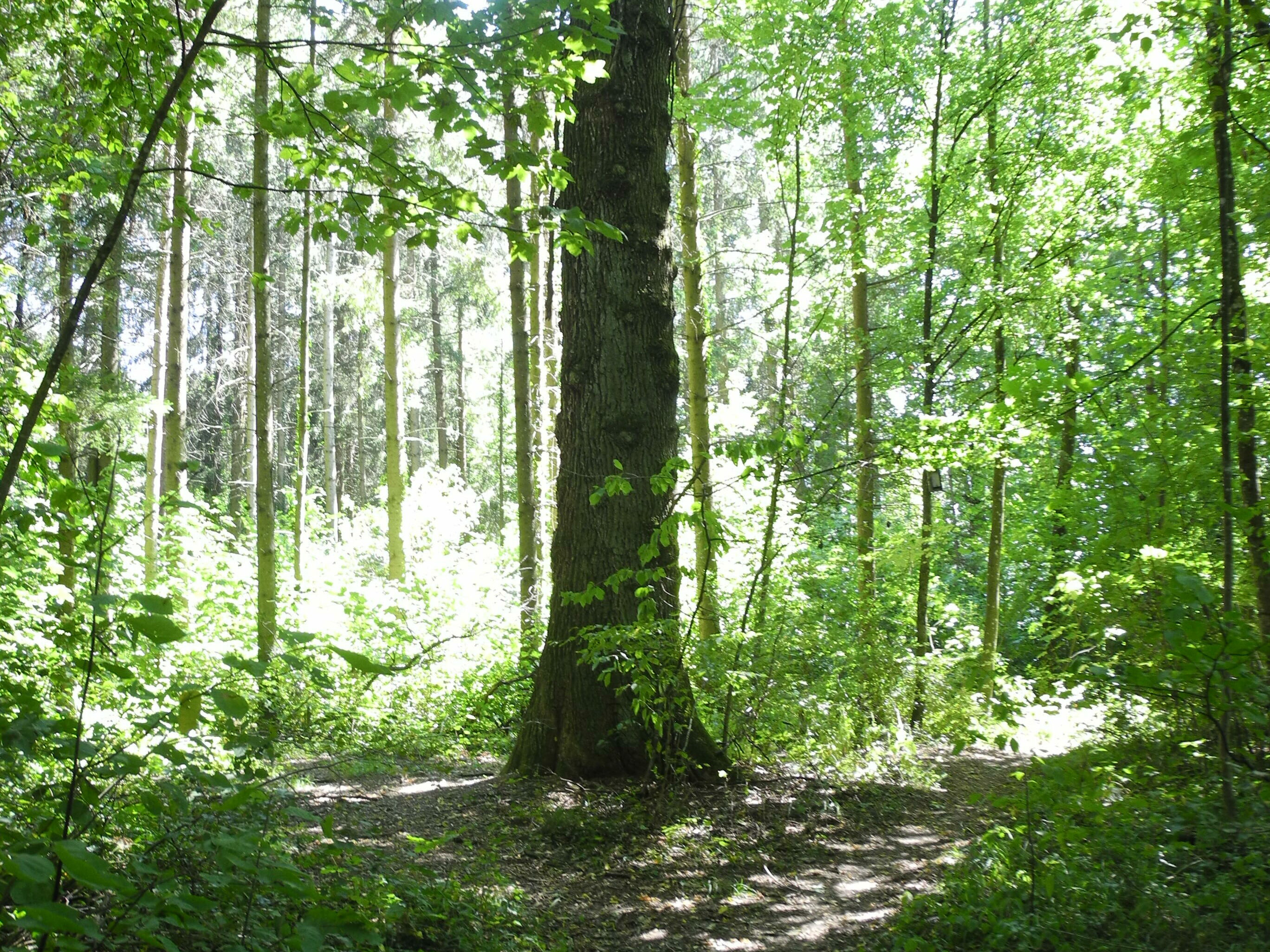 Die letzte Ruhe nach Wunsch Die letzte Ruhe nach Wunsch
