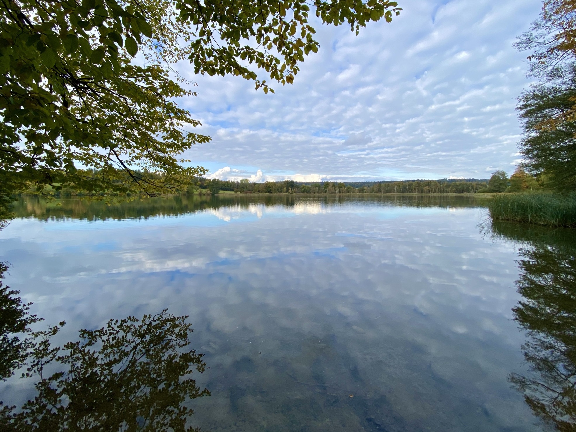 Zur Oase der Stadt Zürich