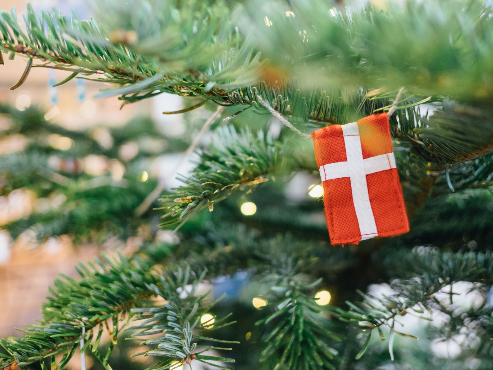 Ein dänischer Advent in Höngg