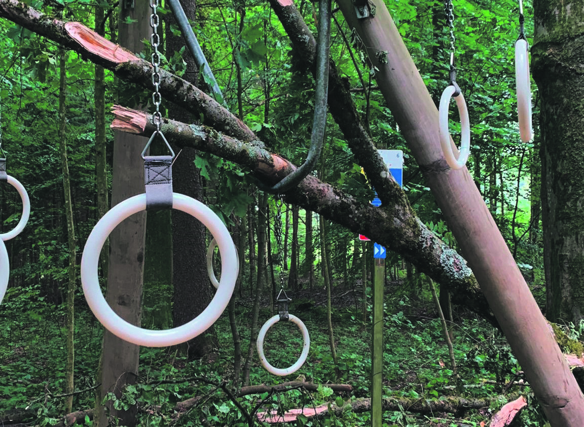 Keine Klimmzüge mehr im Wald – zumindest vorübergehend