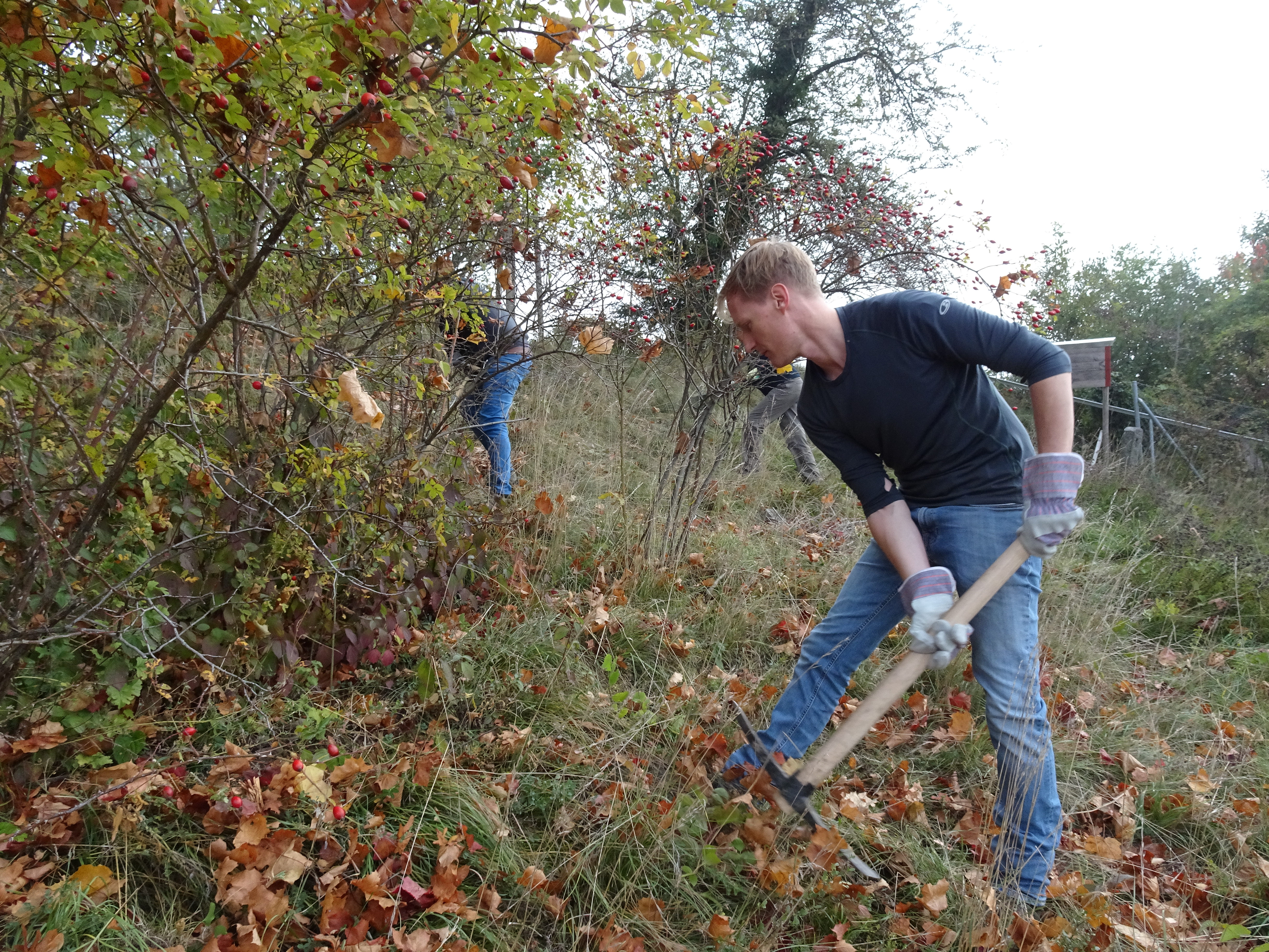 Anpacken im Herbst