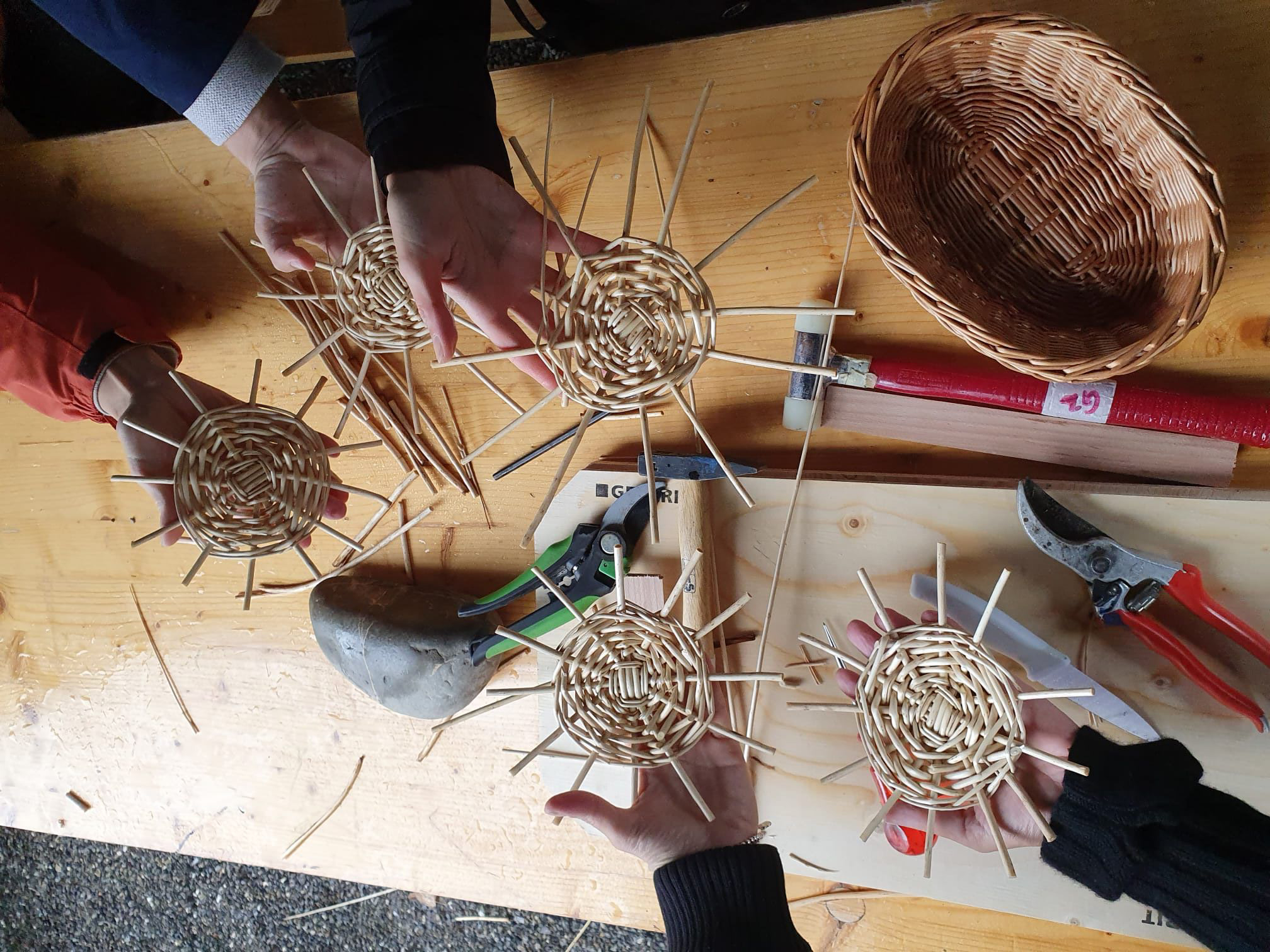 Neugierig bleiben – ein Leben lang