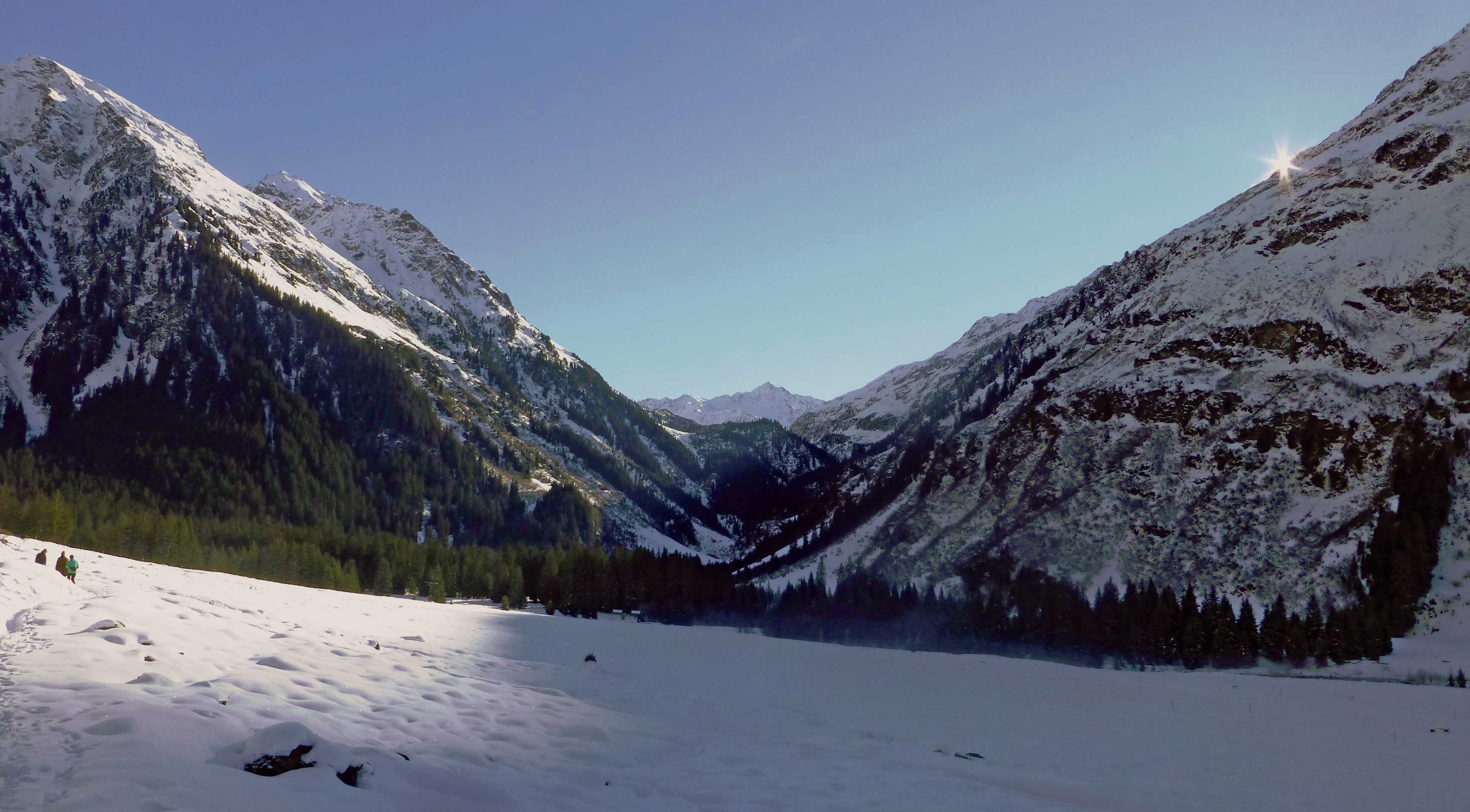 Besuch auf der Alp Garfiun